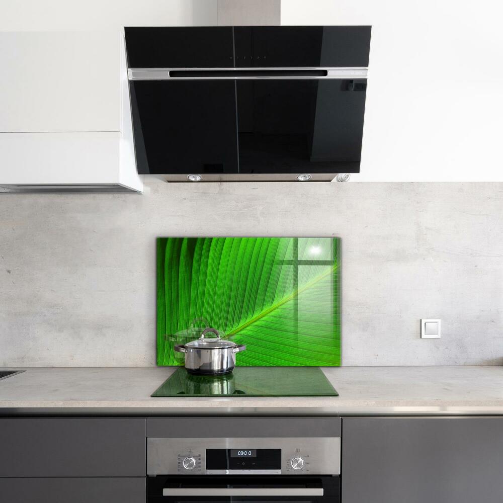 Kitchen glass panel Tropical palm leaf