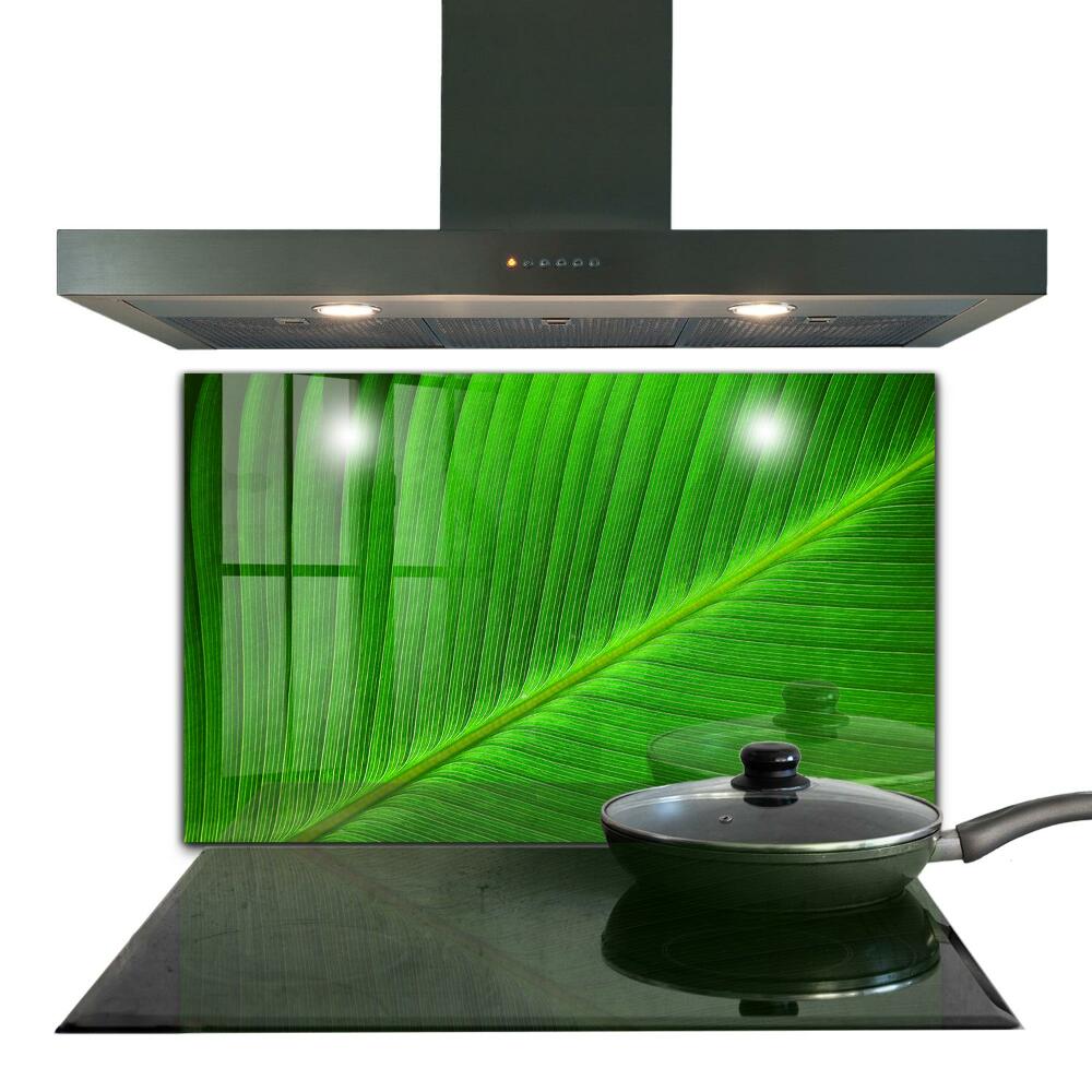 Kitchen glass panel Tropical palm leaf