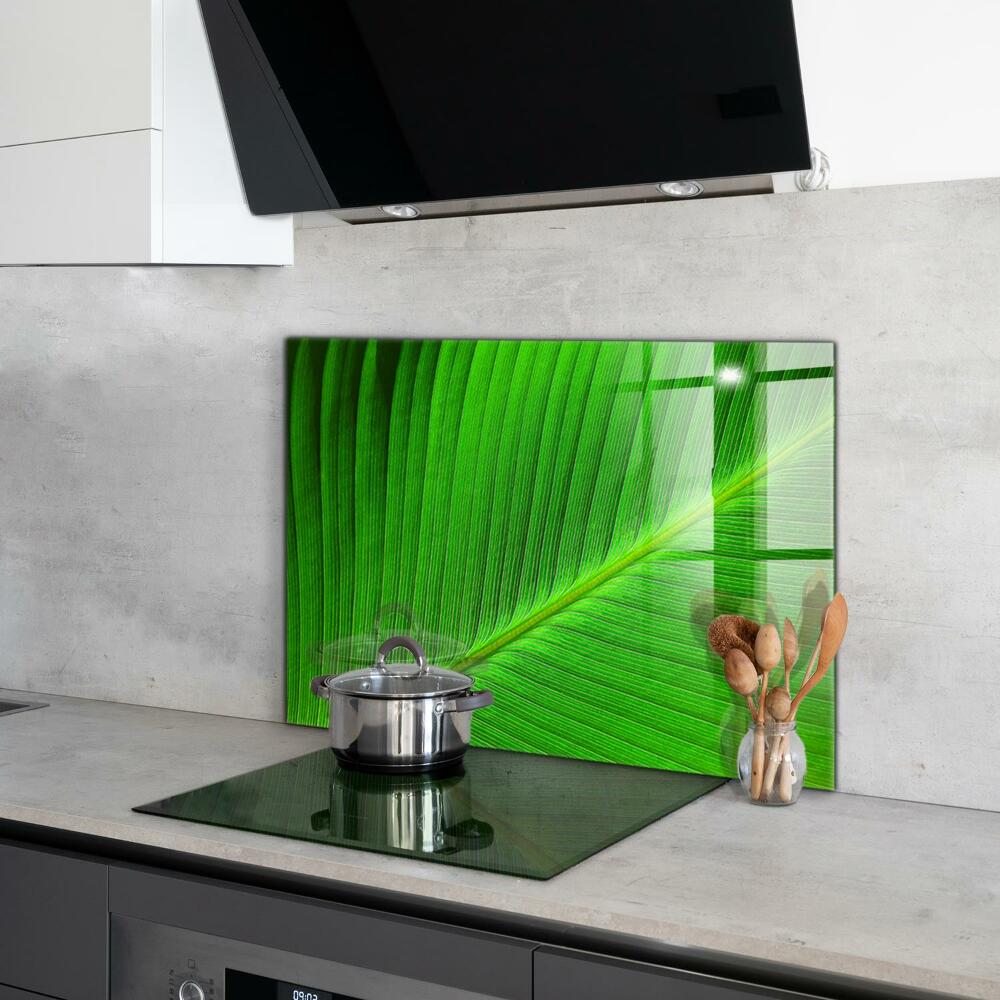 Kitchen glass panel Tropical palm leaf